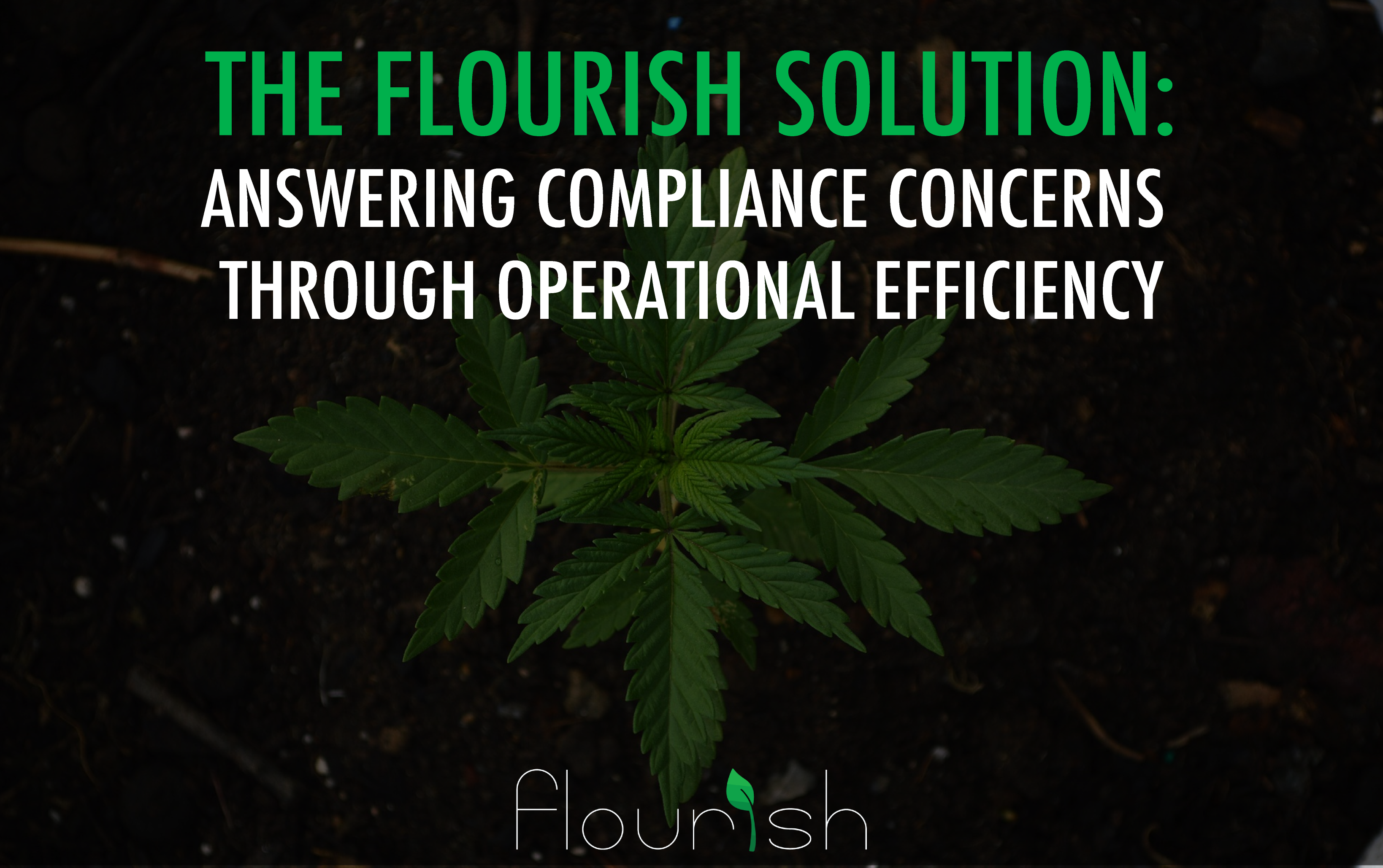 The Flourish Solution | Answering Compliance Concerns Through Operational Efficiency